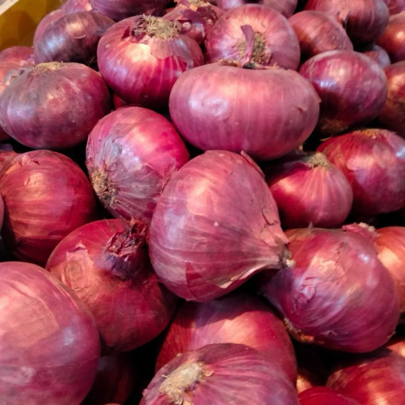 Jual Bawang merah india 10kg | Shopee Indonesia