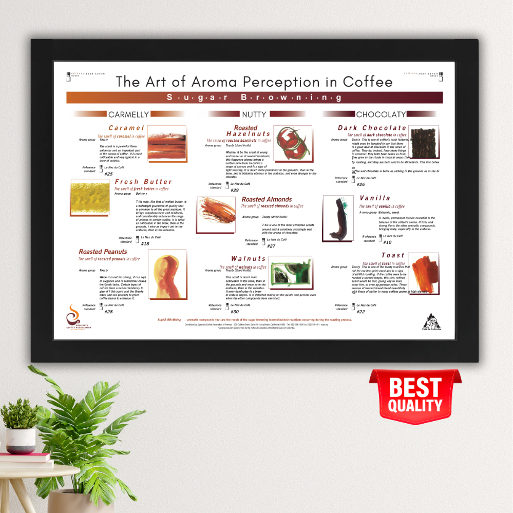 Jual SCA Poster The Art of Aroma Perception Coffee Pajangan Dinding ...
