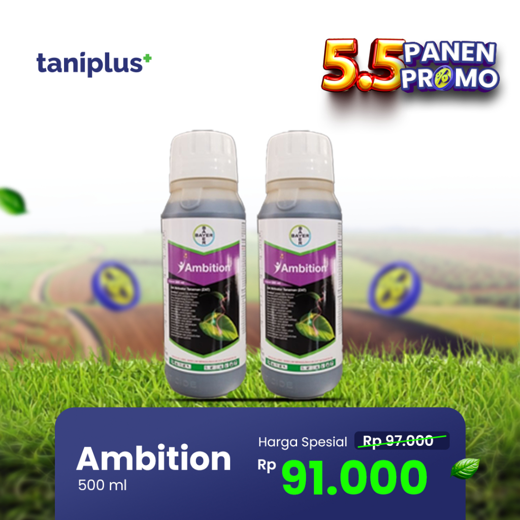 Jual Ambition 500 ml - Nutrisi Tanaman | Shopee Indonesia