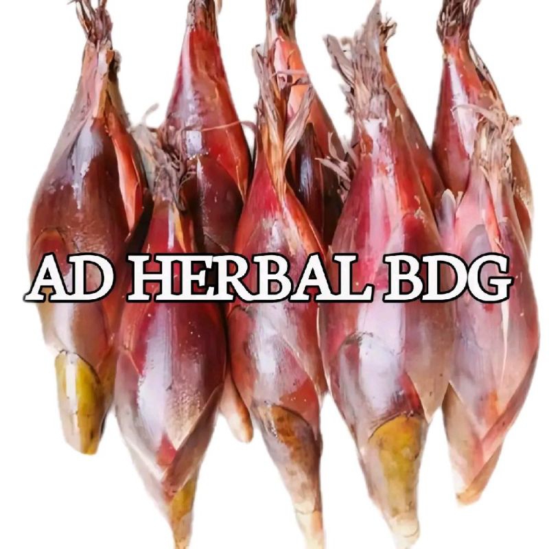 Jual Buah Galoba Pining Isi Per 1 Kg | Shopee Indonesia