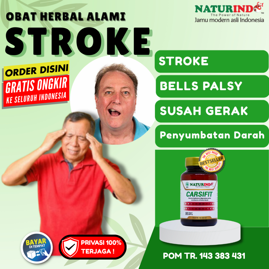 Jual Obat Stroke Herbal Saraf Struk Ringan Berat Strok Bells Palsy ...