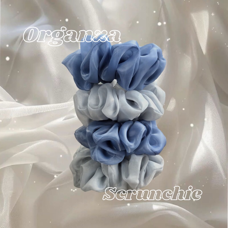 Jual Daily Organza Scrunchie | Ikat Rambut Scrunchie Cantik Lucu ...