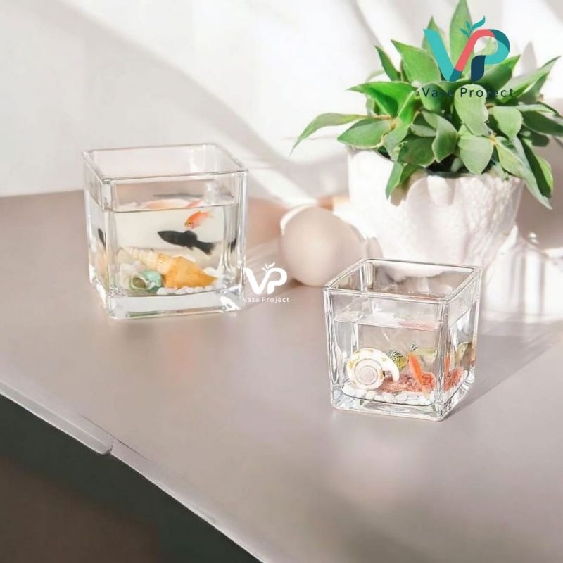 Jual Aquarium Mini Cupang | Aquarium Cupang | Tank Ikan Cupang ...