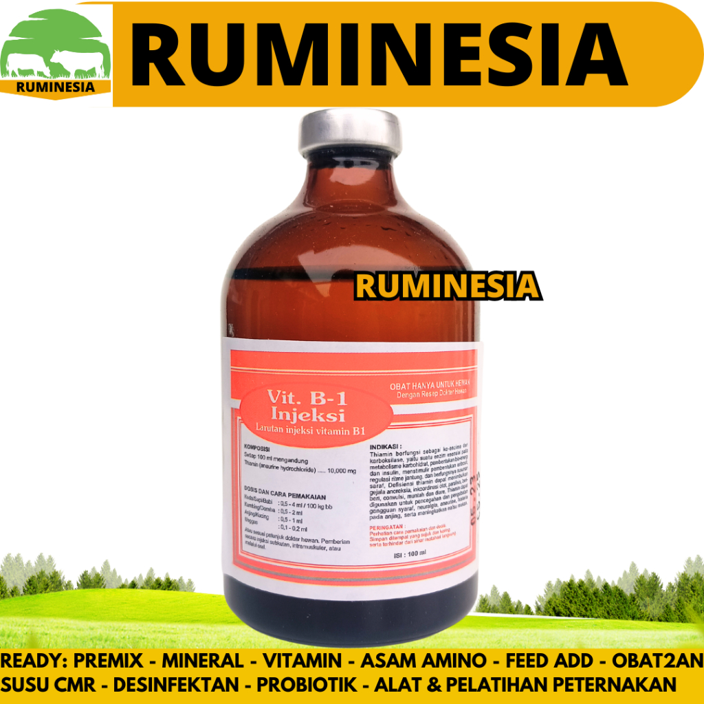 Jual VIT B1 INJ 100ML (OREN) - Vitamin B1 Hewan Ternak Sapi Kambing ...