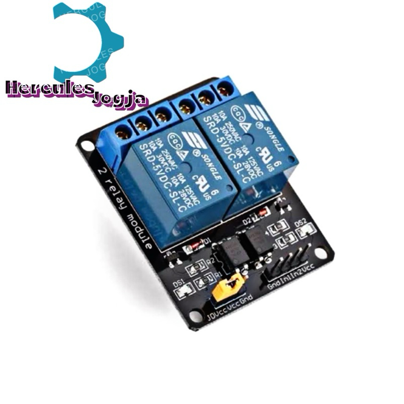 Jual Module Relay 2 Channel Ch 5V 220V AC Modul Optocoupler | Shopee ...