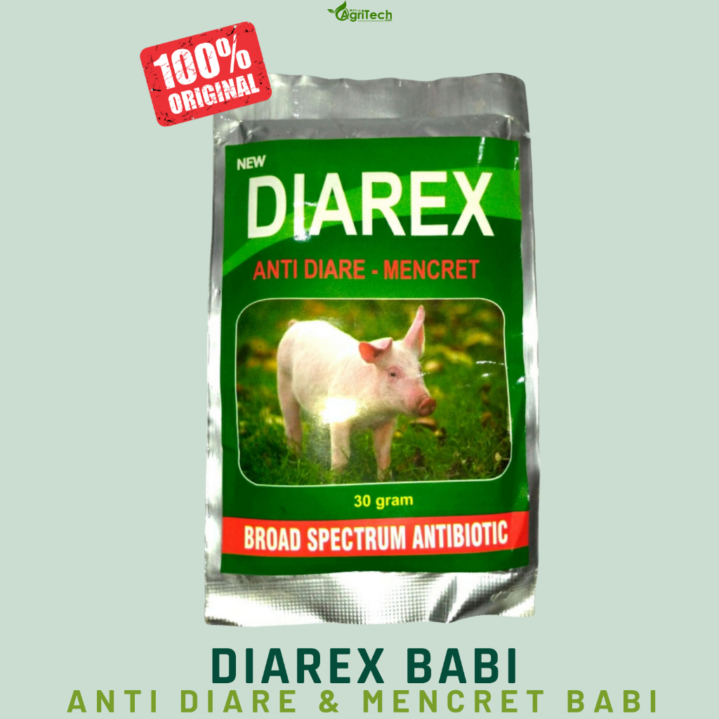 Jual DIAREX BABI OBAT MENCRET DIARE BABI ANTIBIOTIK - TAMASINDO ...