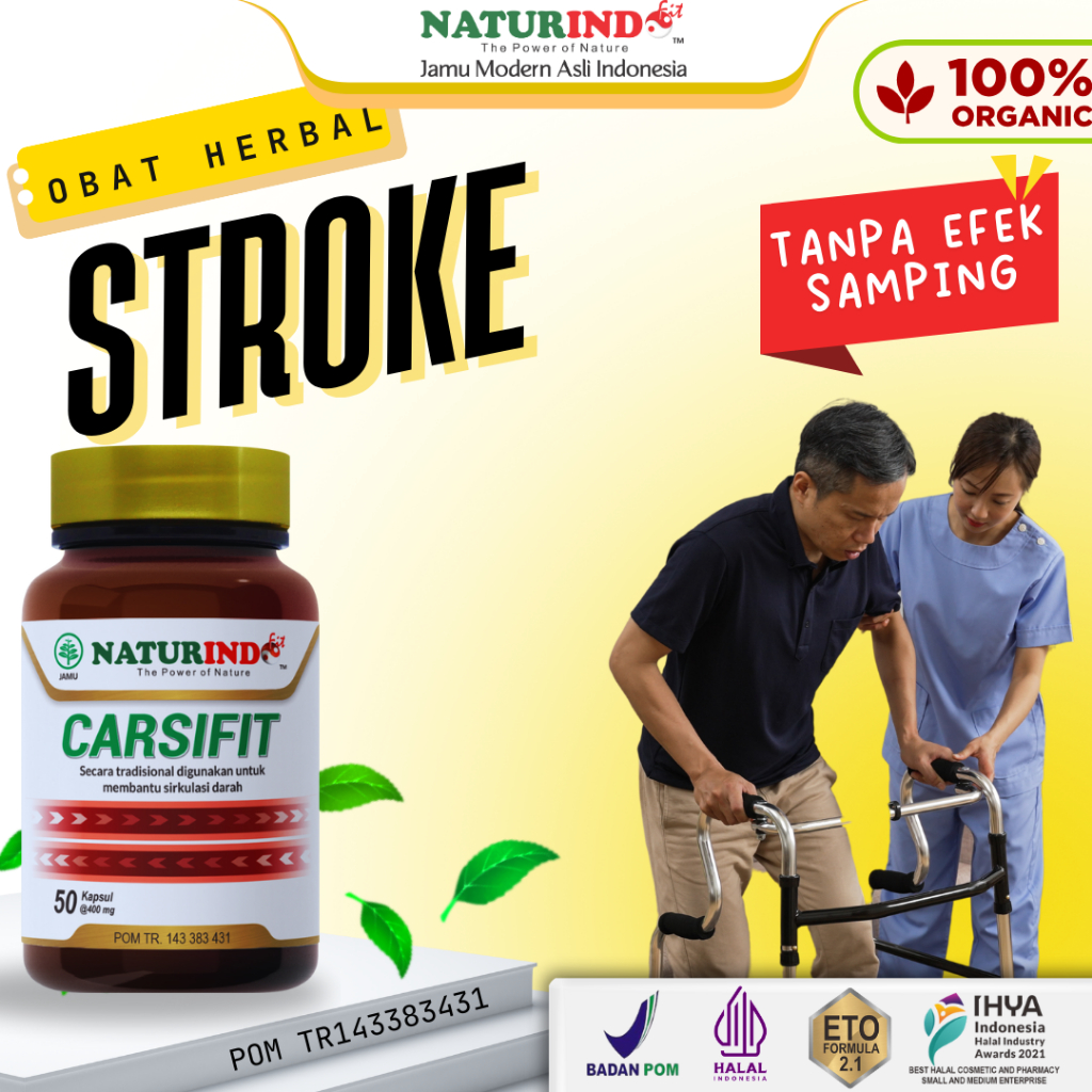 Jual Obat Stroke Ringan Berat Lumpuh Sebelah Susah Bicara Gejala Stroke ...