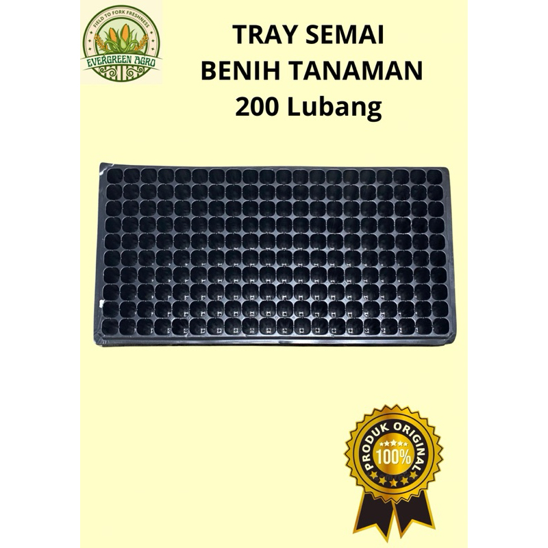 Jual TRAY SEMAI BENIH TANAMAN 200 LUBANG | Shopee Indonesia