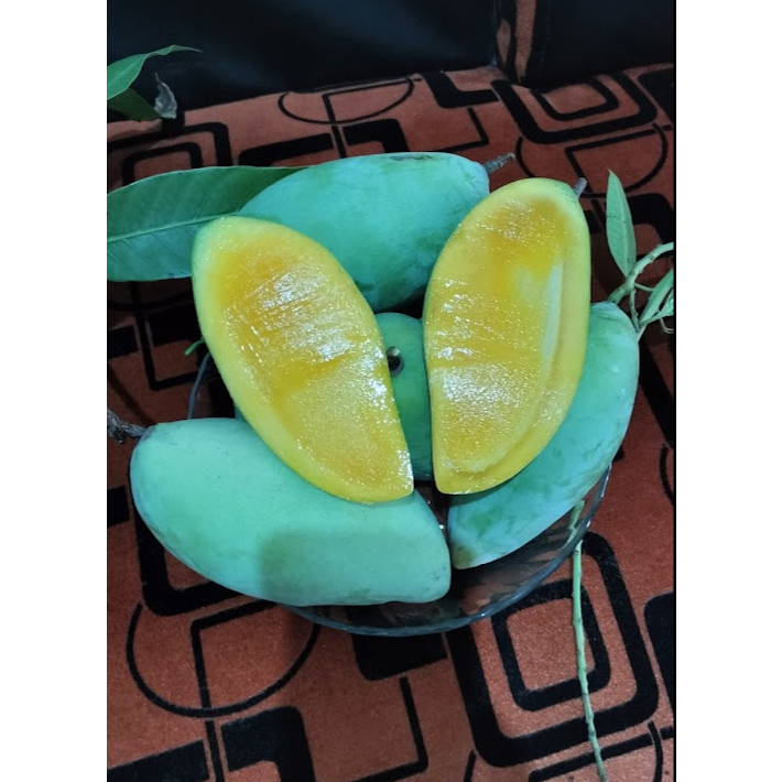 Jual Mangga okyong muda atau yg tua 1kg isi 4,5,6 bisa reques capur ...