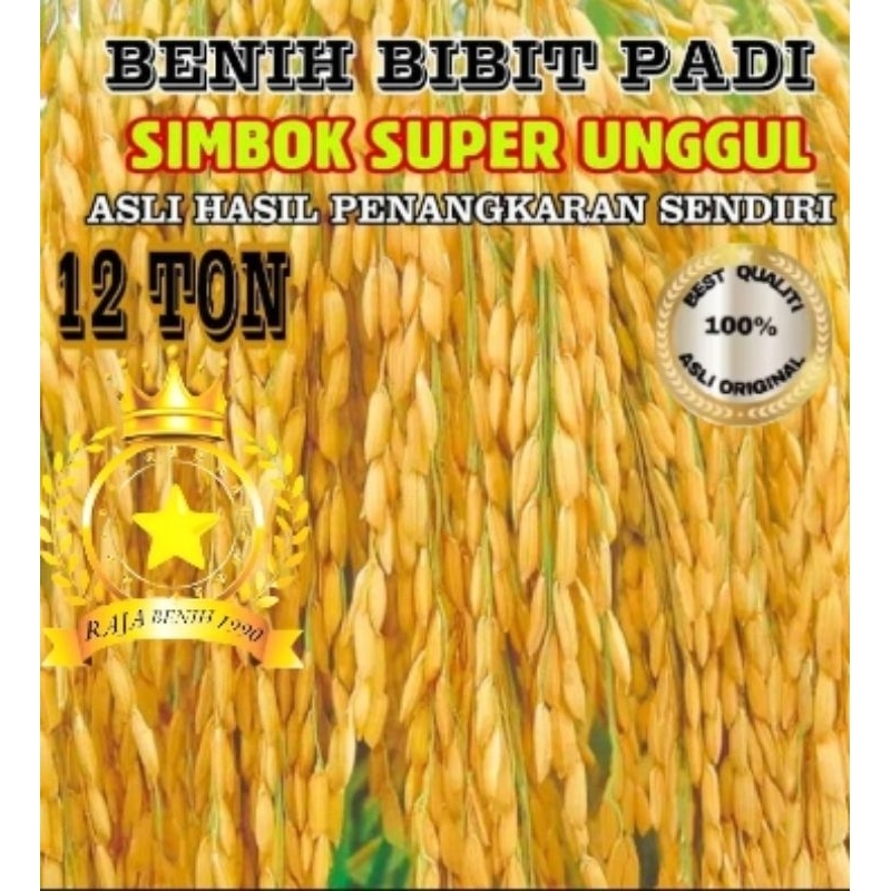 Jual benih padi in hibrida simbok super unggul 1kg | Shopee Indonesia