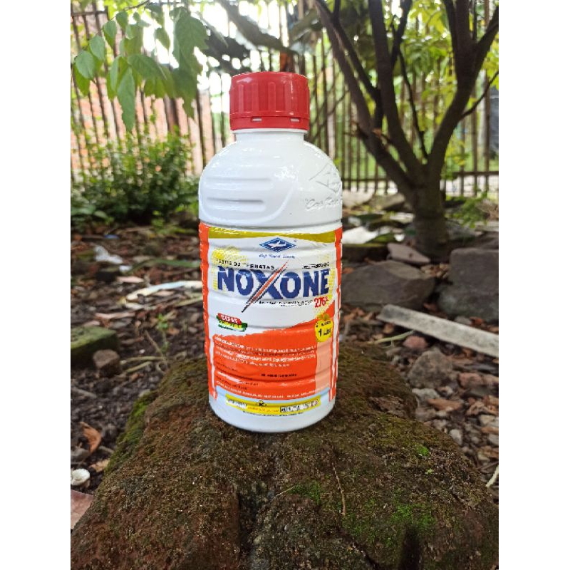Jual Noxone 276 SL 1 L - Herbisida Original MSI | Obat Gulma Berdaun ...