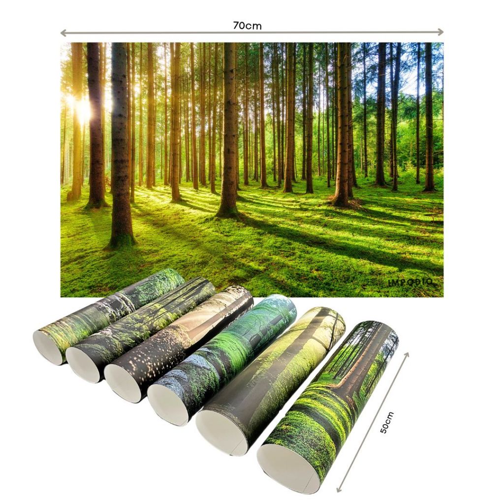 Jual IMPODIO Background Paper Motif Hutan Pepohonan Forest Ukuran 50 x ...