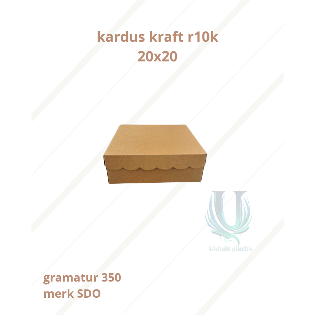 Jual Kardus box kotak nasi coklat kraft r10k [20x20] 350gsm SDO ...