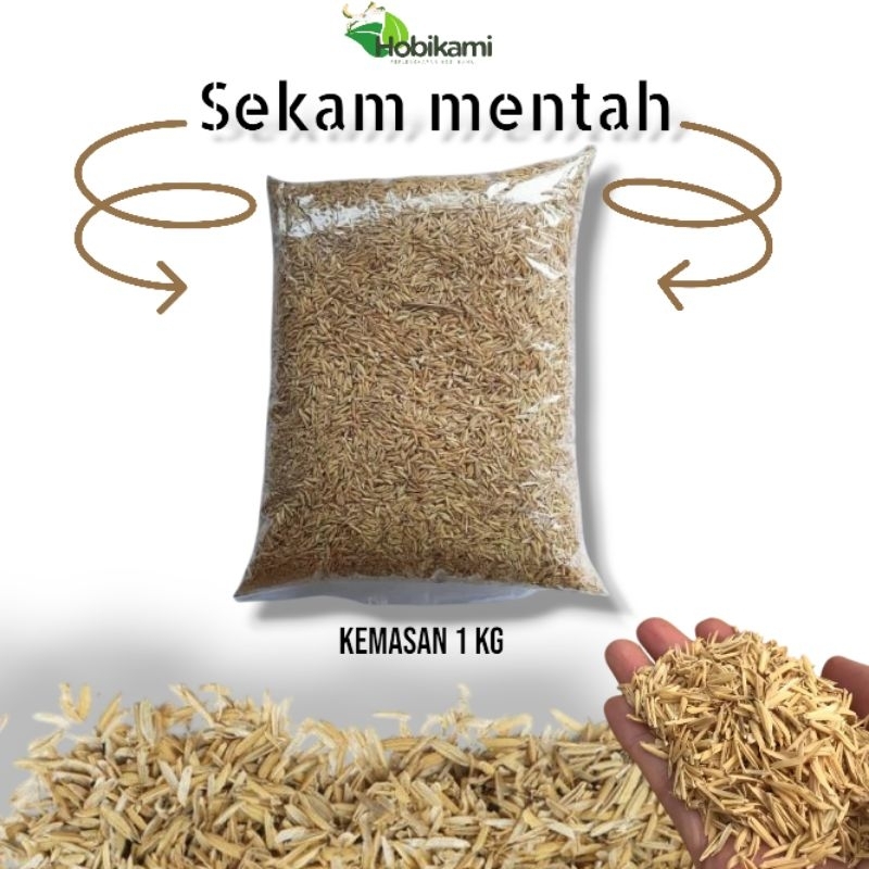 Jual sekam mentah kulit padi kemasan 1 kg | Shopee Indonesia