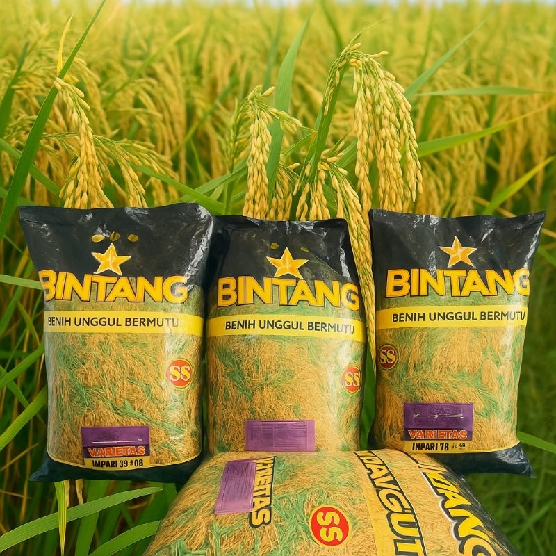 Jual INPARI 32 Cap Bintang 5Kg – Benih Padi Unggul, Panen Lebih Banyak! | Shopee Indonesia