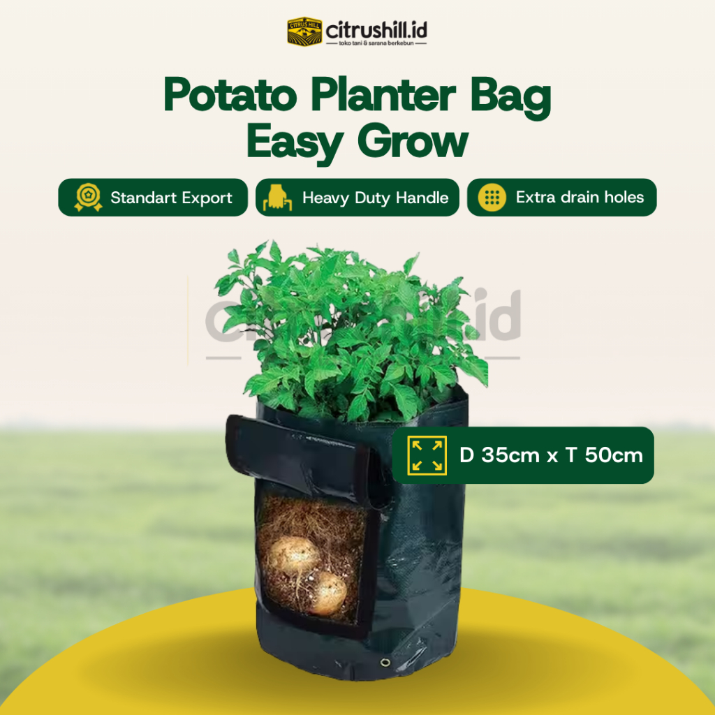 Jual POTATO PLANTER PLENTER BAG EASY GROW PLANTERBAG POT KENTANG JAHE ...