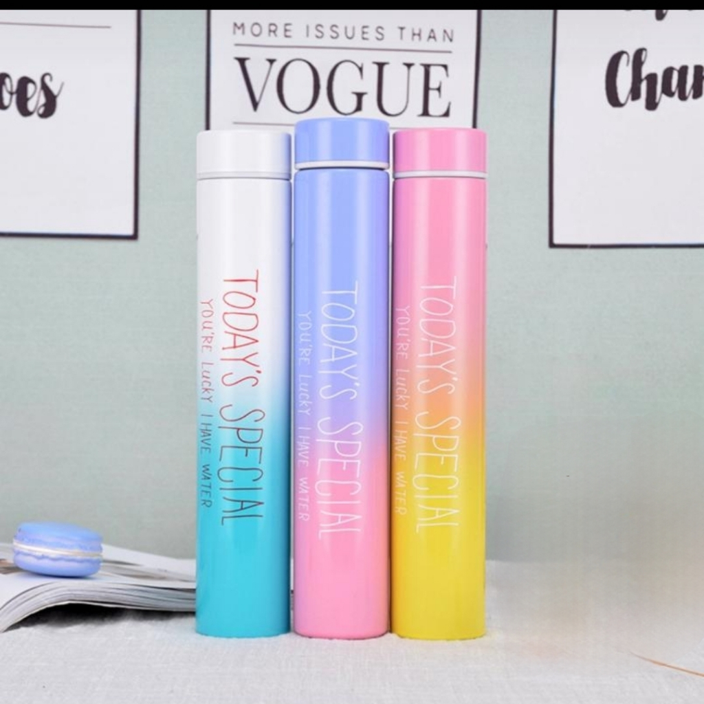 Jual PROMO Botol Minum Slim Mini / Termos Stainless Steel Motif Gradasi ...
