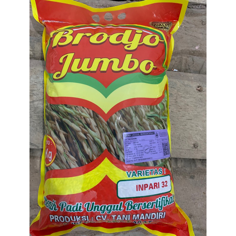 Jual Benih padi inpari 32 Jumbo | Shopee Indonesia