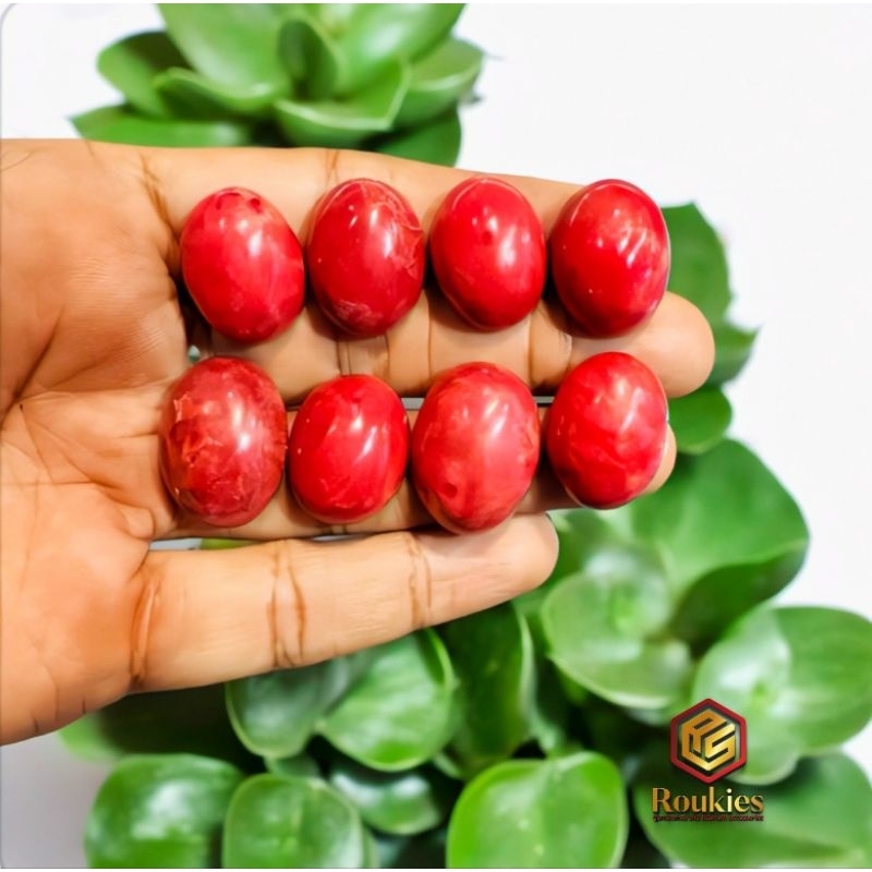 Jual [HANYA BATU] Red Marjan Natural Coral | Shopee Indonesia