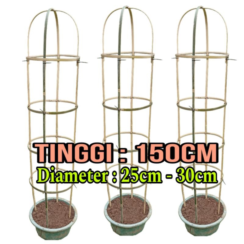 Jual Turus Bambu Melingkar (1set) Bracket Bambu/Ajir Kurungan Tanaman ...