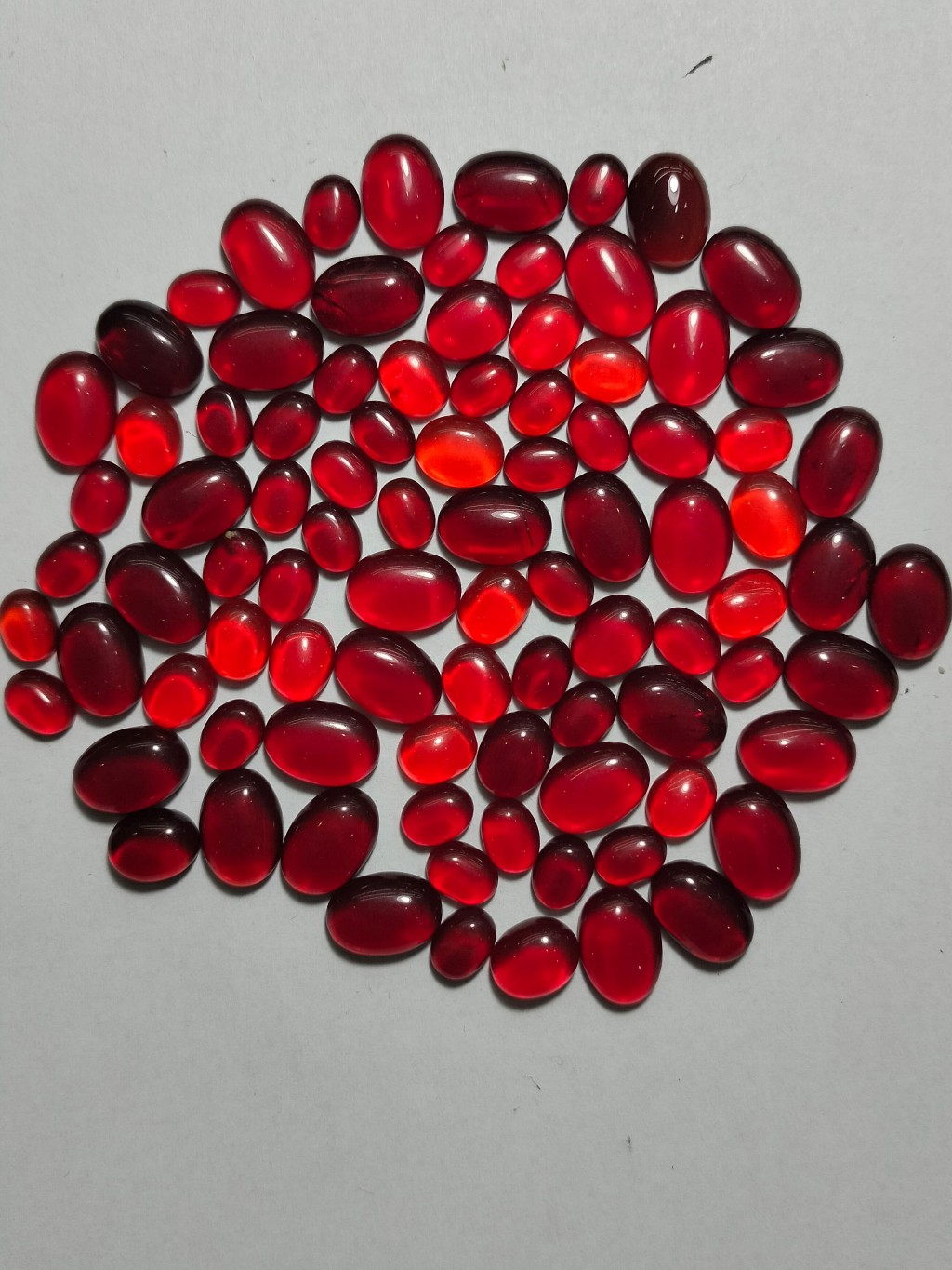 Jual Raflesia | Shopee Indonesia