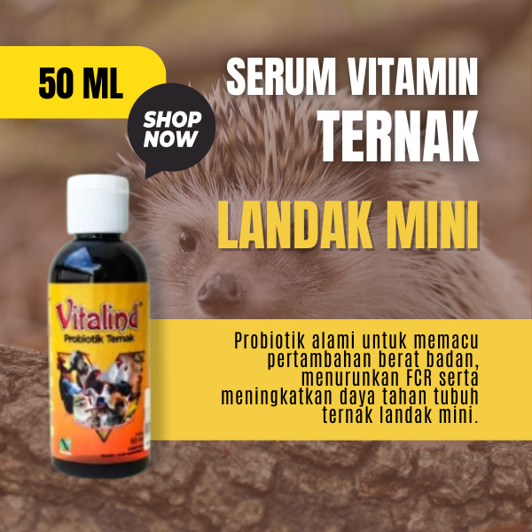 Jual Vitamin hewan landak vitamin landak vitamin landak kecil vitamin ...