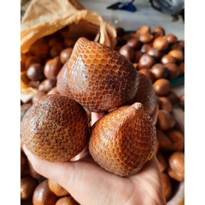 Jual Salak Pondoh Jumbo Asli Sleman Yogyakarta – Fresh & Manis | 1kg ...