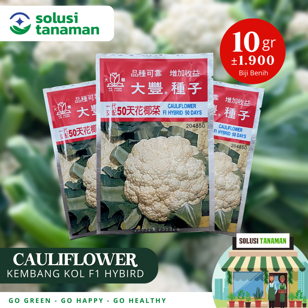 Jual Benih Bunga Kol Cauliflower 50 Days 10gr (1.900 Biji) Bibit ...