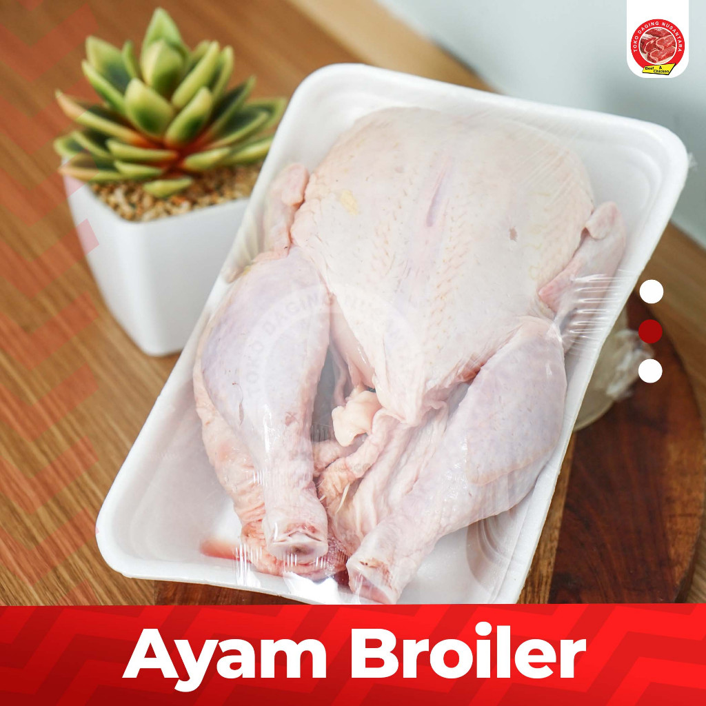 Jual DAGING AYAM BROILER FRESH UTUH 0.8 | FRESH BROILER CHICKEN ...