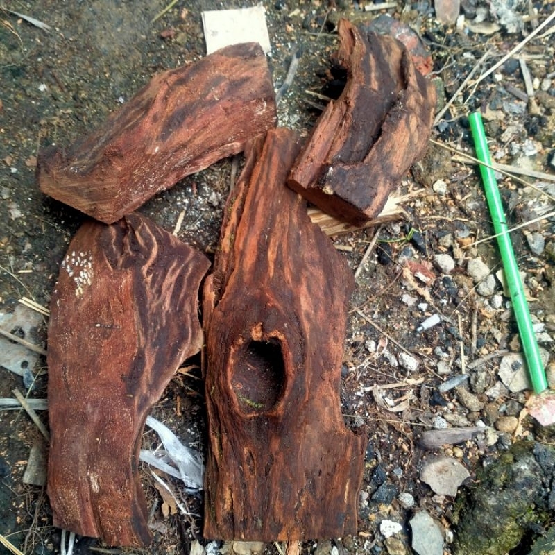 Jual patahan rentek kayu aquascape ukuran 15*10 | Shopee Indonesia