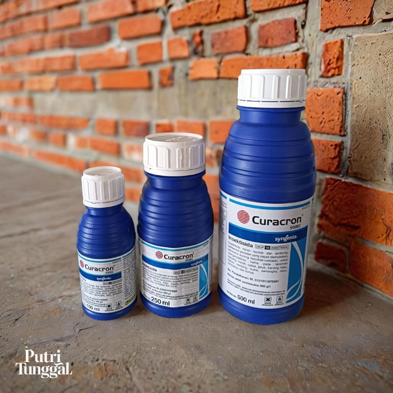 Jual Curacron 500EC insektisida pembasmi hama original sygenta | Shopee ...
