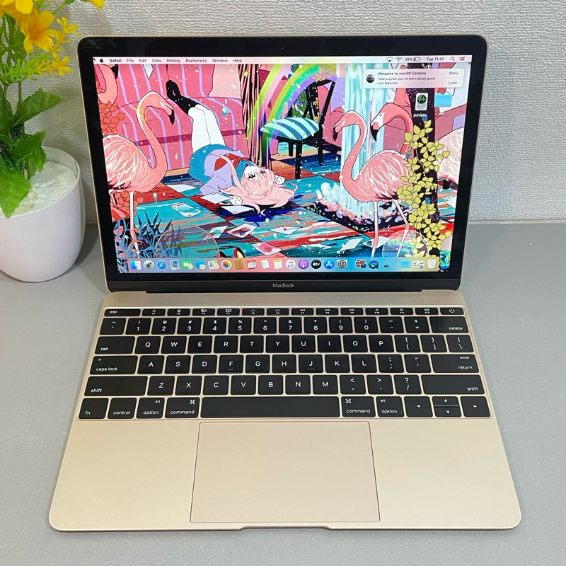 Jual Macbook Retina 2017 12 inch Ram 8gb Ssd 256gb GOLD Intel core M3 ...