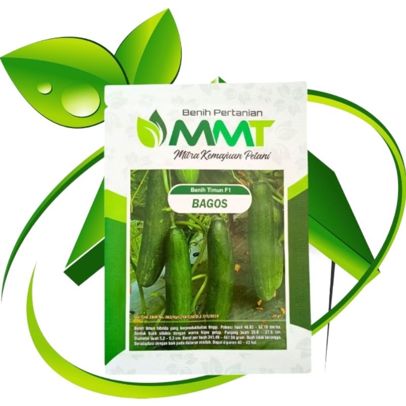 Jual Benih Timun Bagos F1 20gr Original MMT – Cocok Dataran Rendah ...
