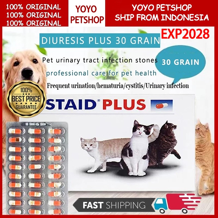 Jual Cystaid Plus Obat Infeksi Saluran Kemih Kucing Obat FLUTD Obat ...