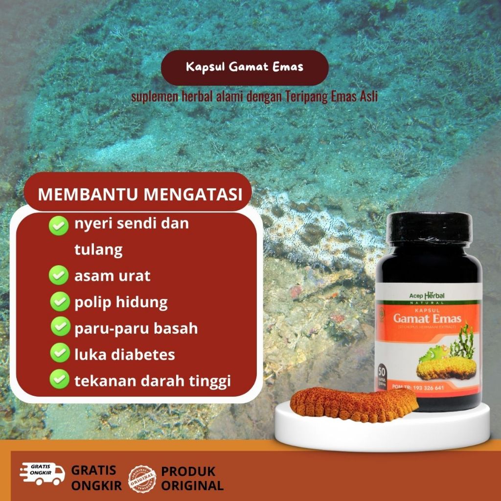 Jual Kapsul Gamat Emas – Rahasia Kesehatan Alami dari Laut, Kaya ...