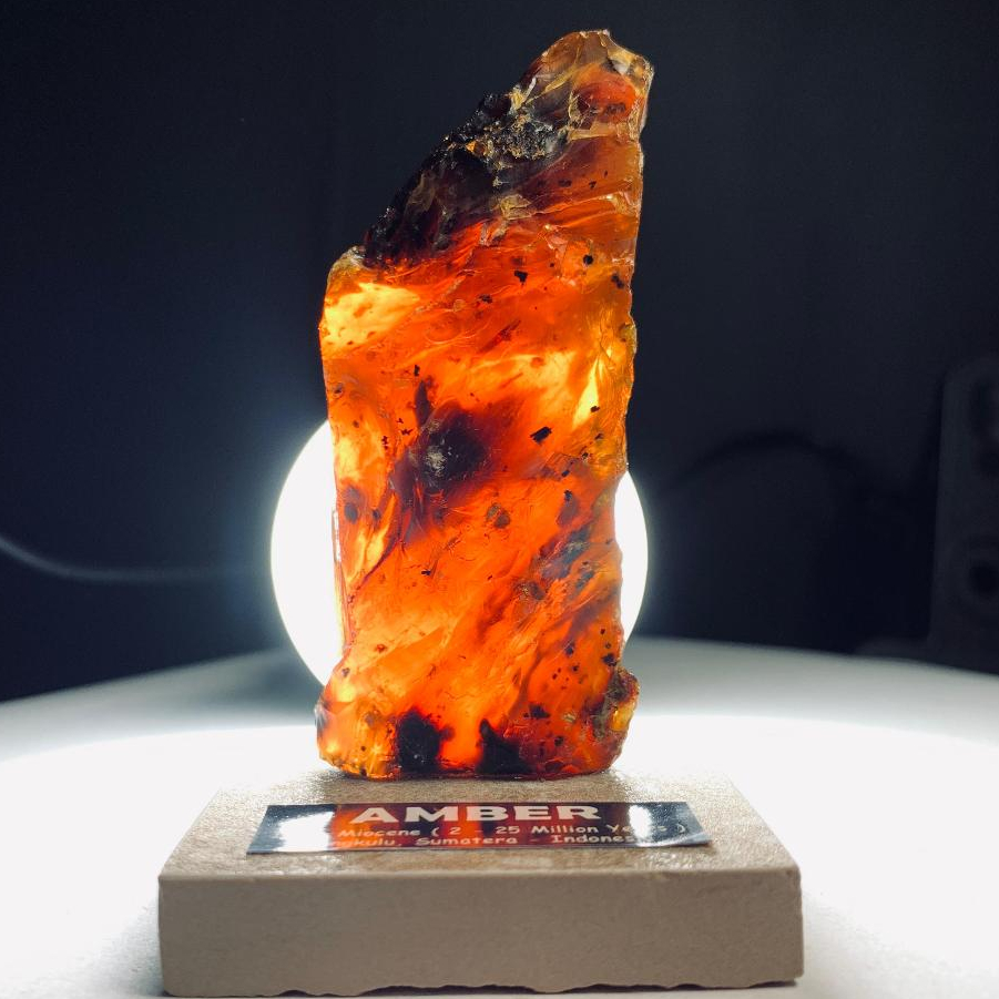 Jual NATURAL Bongkahan Amber - Bahan Mentah Amber - Batu Getah Katilayu ...