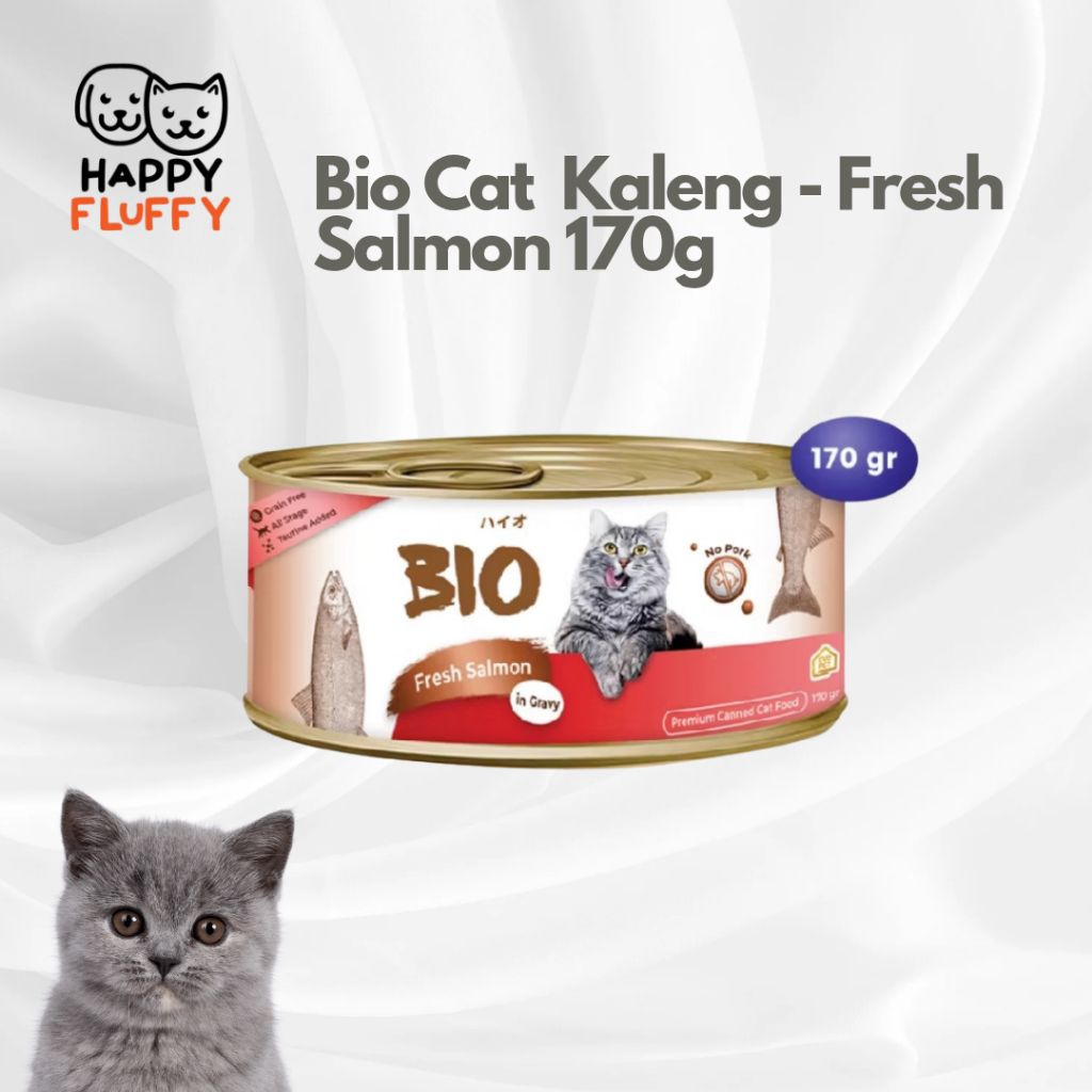 Jual Bio Cat Kaleng - Fresh Salmon - 170g | Shopee Indonesia