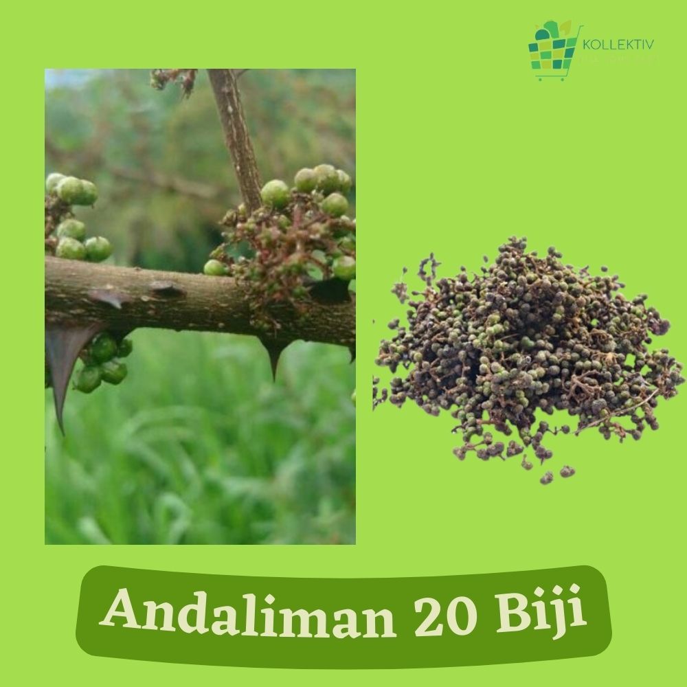 Jual Bibit Andaliman Medan - Merica Batak / Benih Sayur | Shopee Indonesia