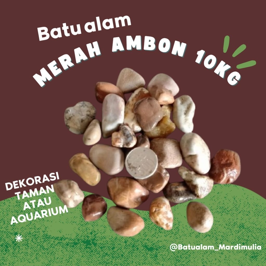 Jual BATU ALAM MERAH AMBON 10 KG | Shopee Indonesia