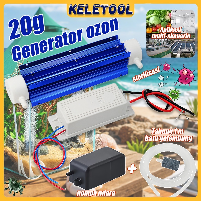 Jual 220V 10G Ozone Tabung Generator Pembersih udara Air Purifier ...