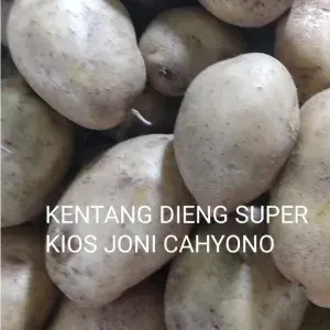 Jual KENTANG DIENG UKURAN SEDANG 1 KG | Shopee Indonesia