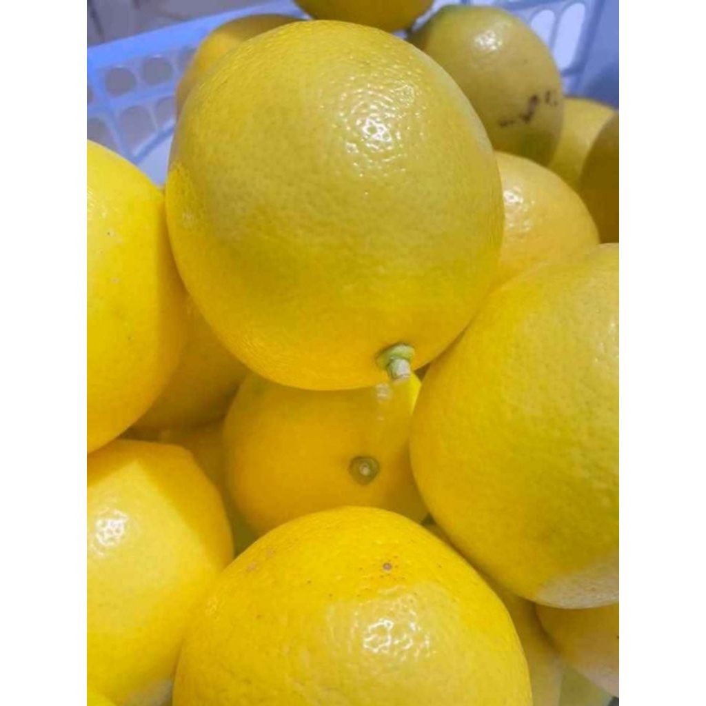 Jual Jeruk Lemon Peras Super Kuning Per 1kg - Minuman Segar - Mama ...