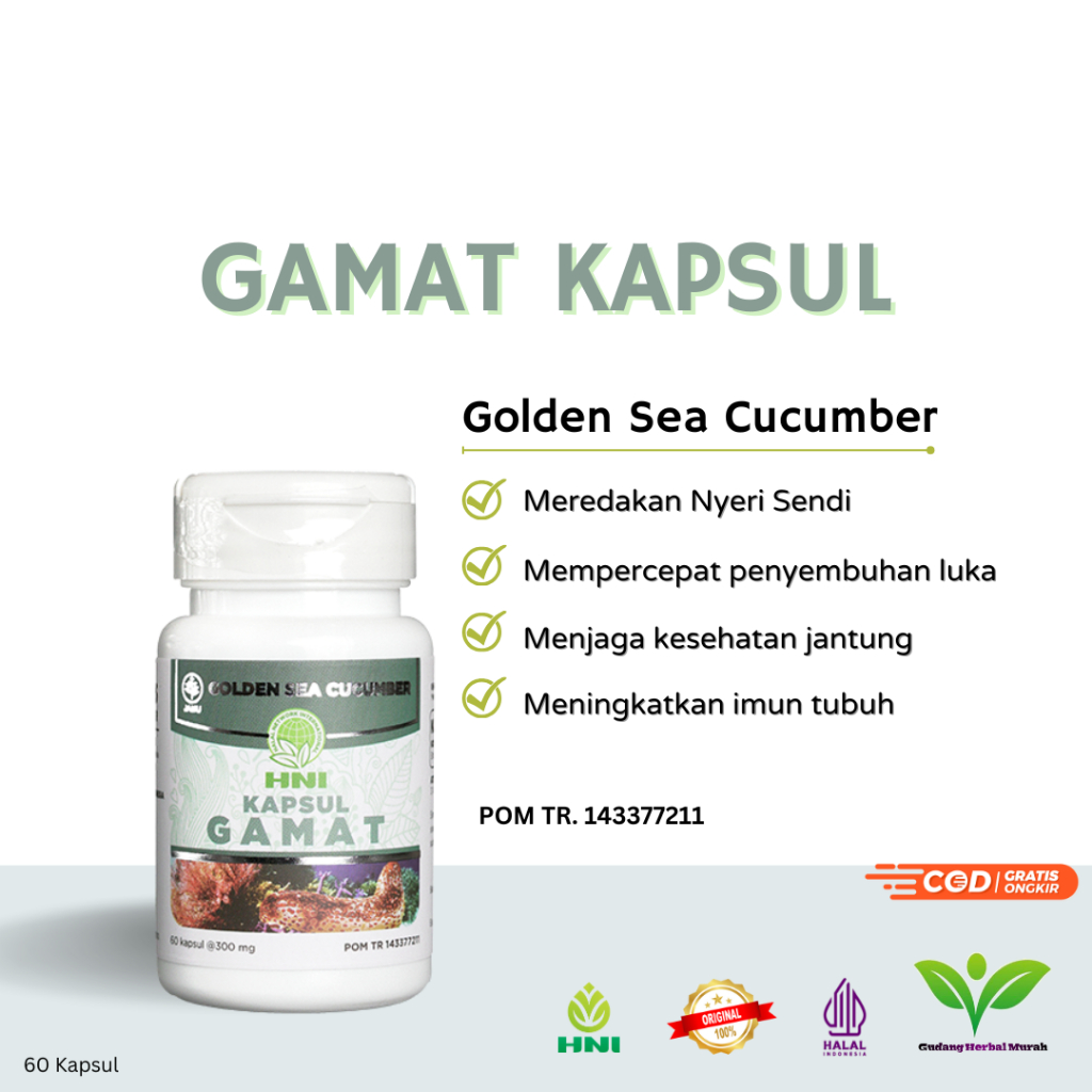 Jual Kapsul Gamat HNI 60 kapsul | Herbal Luka Dalam, Anti Radang ...