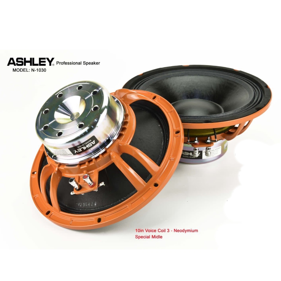Jual Speaker Component Ashley N 1030 Original 10 inch Neodymium N1030 ...