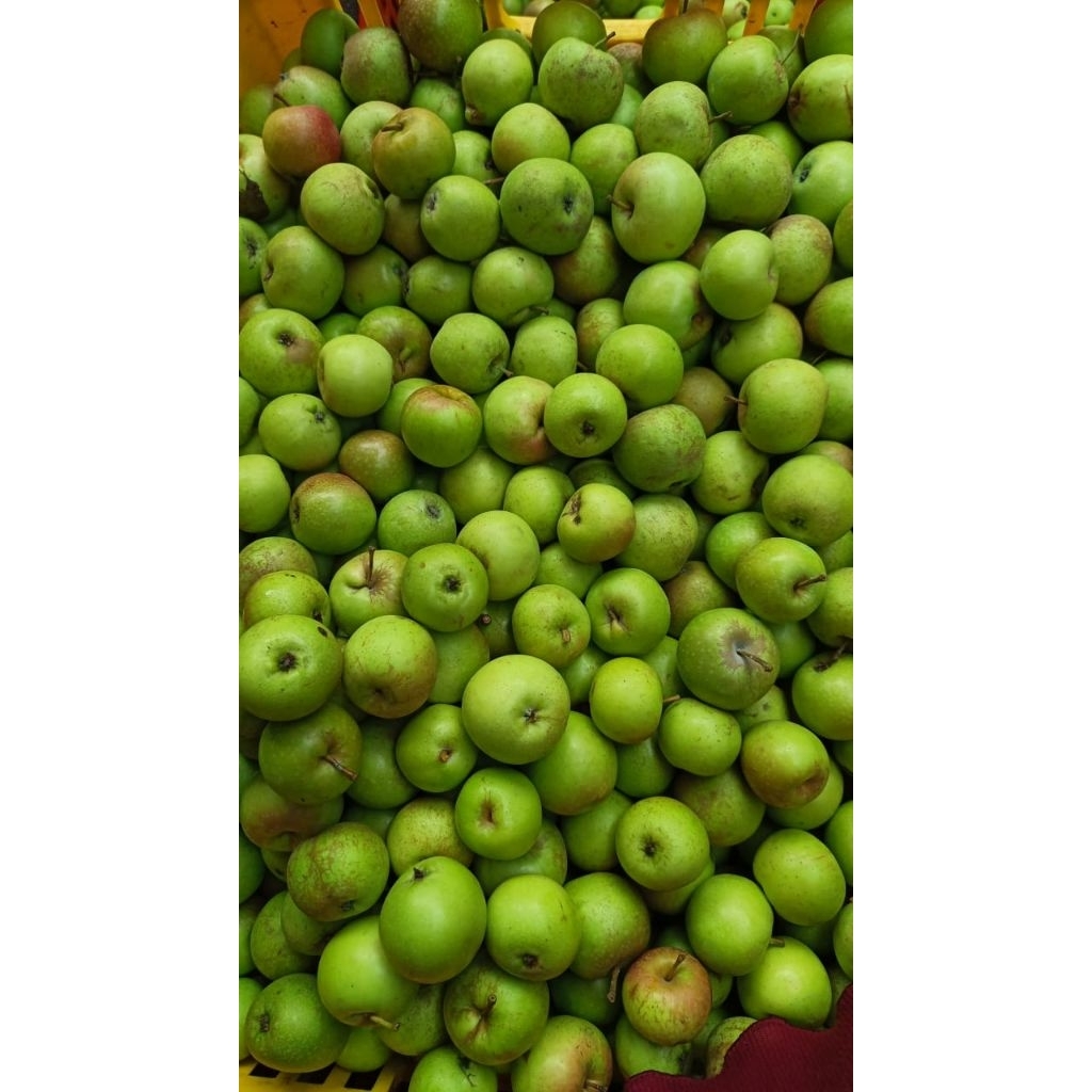 Jual Apel Manalagi cerry 1 kg | Shopee Indonesia