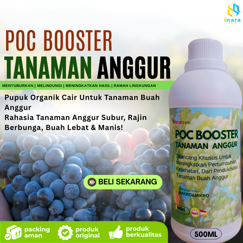 Jual POC booster anggur,Pupuk cair pelebat buah anggur,Pupuk penyubur tanaman anggur,Pupuk ...