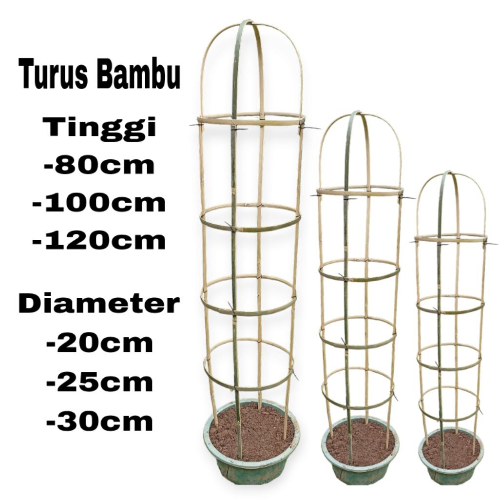 Jual Turus Bambu Melingkar/Bracket Bambu (1 Set) Turus Bambu Kurungan ...