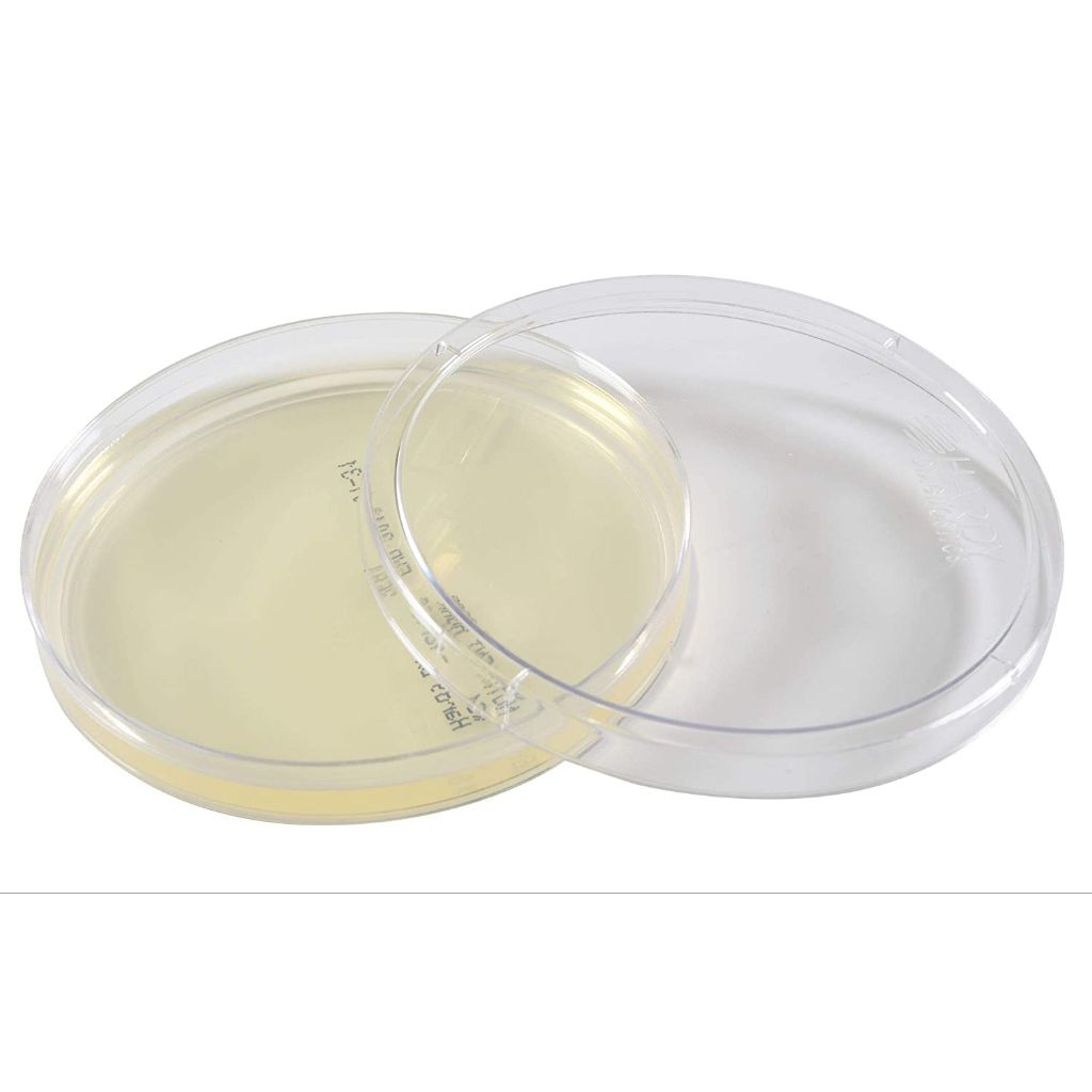 Jual Media Agar Plate Pertumbuhan Bakteri untuk TPC / Uji ALT ...