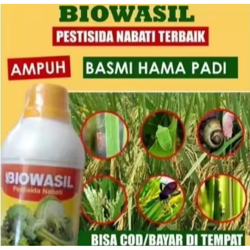 Jual PUPUK BIOWASIL OBAT HAMA ULAT PADI SUNDEP BELUK 500 ML Obat Hama ...