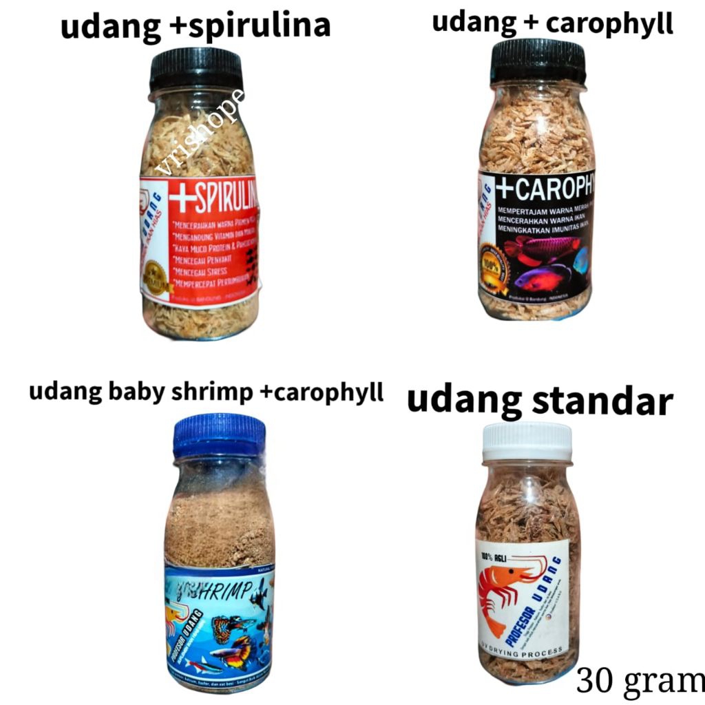 Jual Profesor Udang Red Carophyll baby shrimp Spirulina standar 30 Gram ...